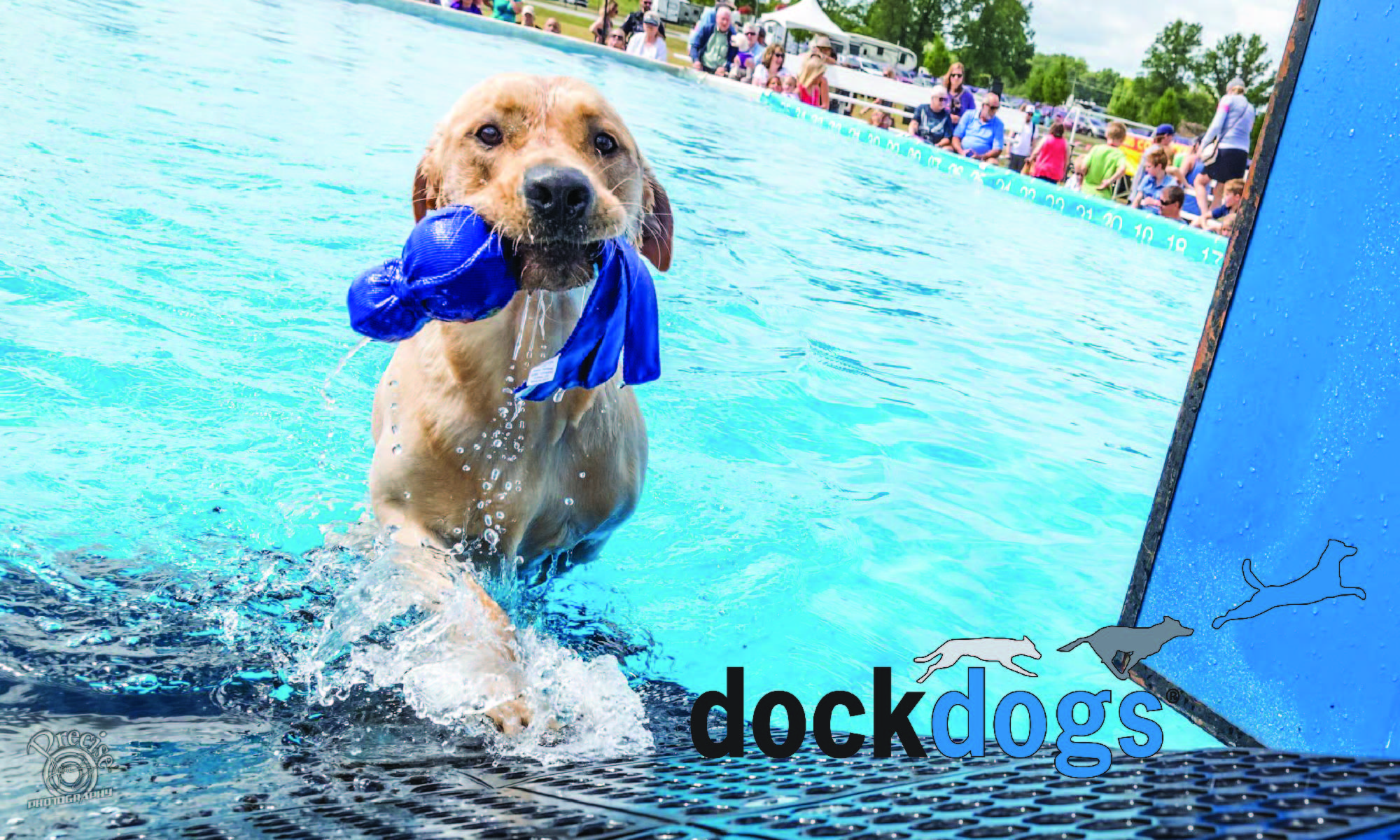 Suffolk Downs | Two Cities, One New Neighborhood